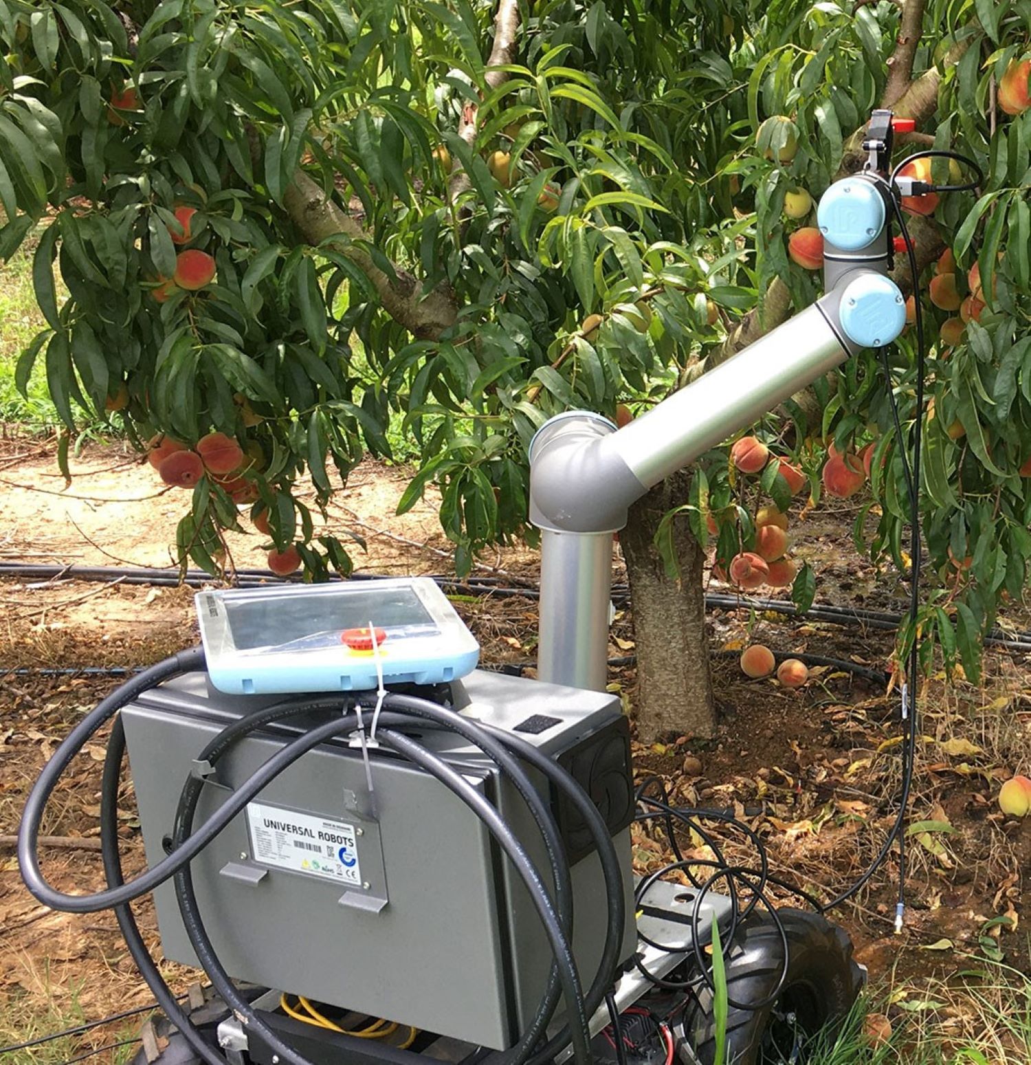 Projects · Christina Kiruba Christopher